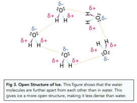 Bonding - Hydrogen Bonding in Water (A-Level Chemistry) - Study Mind