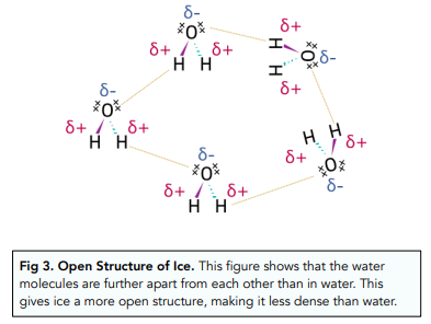 Bonding - Hydrogen Bonding in Water (A-Level Chemistry) - Study Mind