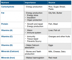 Lifestyle & Disease - Diet and Exercise (GCSE Biology) - Study Mind