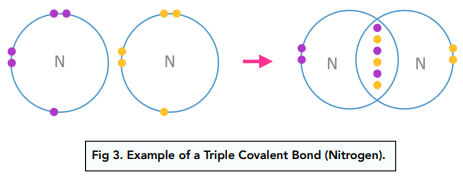 Bonding - Covalent Bonds (A-Level Chemistry) - Study Mind