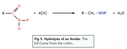 Carboxylic Acids and Derivatives - Structure of Amides (A-Level ...