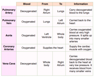 The Circulatory System - Heart: Structure and Function (GCSE Biology ...