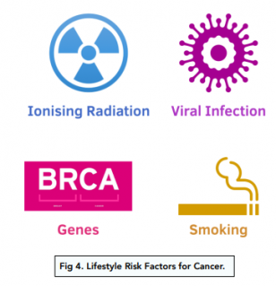 Cancer (GCSE Biology) - Study Mind