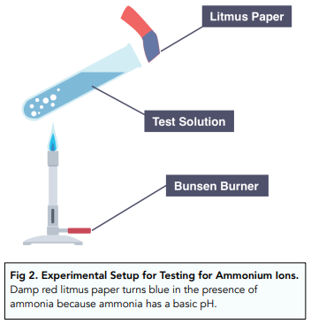 The Halogens - Testing for Ions (A-Level Chemistry) - Study Mind