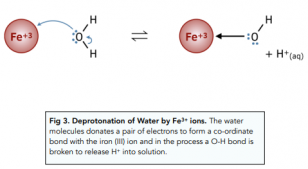 Reactions of Ions in Aqueous Solutions - Metal Ions in Solution (A ...