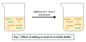Acids and Bases - Buffer Action (A-Level Chemistry) - Study Mind