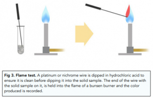 The Halogens - Testing for Ions (A-Level Chemistry) - Study Mind