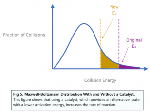 Kinetics - The Maxwell–Boltzmann Distribution and Catalysts (A-Level ...