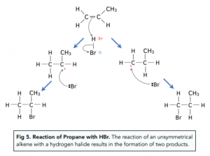 Alkenes - Alkene Structure and Reactivity (A-Level Chemistry) - Study Mind