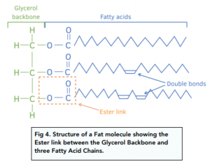 Carboxylic Acids and Derivatives - Properties and Reactivity of Esters ...