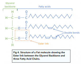 Carboxylic Acids and Derivatives - Properties and Reactivity of Esters ...