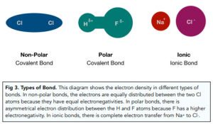 Bonding - Bond Polarity (A-Level Chemistry) - Study Mind