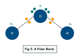 Bonding - Forces Between Molecules (A-Level Chemistry) - Study Mind