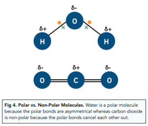 Bonding - Bond Polarity (A-Level Chemistry) - Study Mind