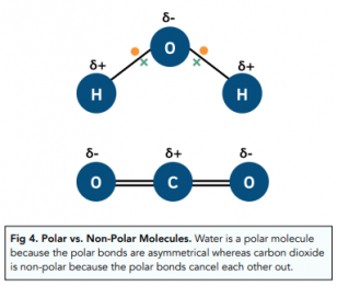 Bonding - Bond Polarity (A-Level Chemistry) - Study Mind