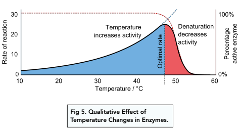 Kinetics - The Collision Theory and Reaction Rates (A-Level Chemistry ...