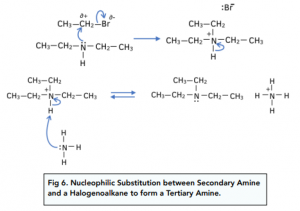 Amines - Properties and Reactivity of Amines (A-Level Chemistry ...