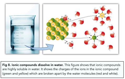 Bonding - Properties of Ionic Bonding (A-Level Chemistry) - Study Mind