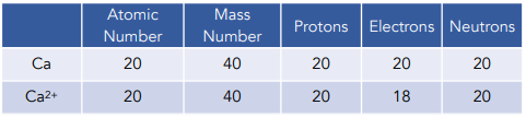 Atomic Structure - Atomic and Mass Number (A-Level Chemistry) - Study Mind
