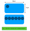 Microscopes & Cultures - Cell Size and Area Estimations (GCSE Biology ...