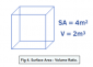 Exchange Surfaces - Surface Areas to Volume Ratios (GCSE Biology ...