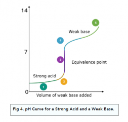Acids and Bases - Drawing pH Curves (A-Level Chemistry) - Study Mind