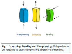 Forces and Elasticity (GCSE Physics) - Study Mind