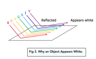 Appearance of Objects (GCSE Physics) - Study Mind