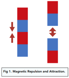 Poles of a Magnet (GCSE Physics) - Study Mind