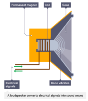 Loudspeakers (GCSE Physics) - Study Mind