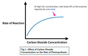 Photosynthesis: Limiting Factors Affecting the Rate of Photosynthesis ...
