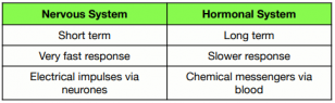 Human Endocrine System - Hormones: An Introduction (GCSE Biology ...