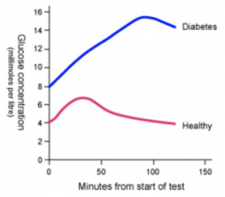Control of Blood Glucose Concentration - Blood Glucose Graphs (GCSE ...