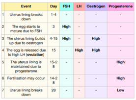 Hormones in Human Reproduction - The Menstrual Cycle: Hormones (GCSE ...