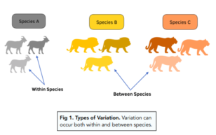 Variation - Variation and Its Causes (GCSE Biology) - Study Mind