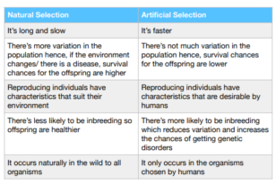 Variation - Selective Breeding (GCSE Biology) - Study Mind