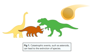 Fossils & Extinction - Extinctinction (GCSE Biology) - Study Mind