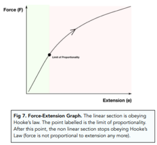 Forces and Elasticity (GCSE Physics) - Study Mind