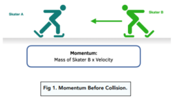 Conservation of Momentum (GCSE Physics) - Study Mind