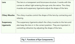 The Eye - An Introduction (GCSE Biology) - Study Mind