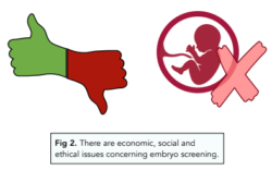 Inheritance - Inherited Disorders (GCSE Biology) - Study Mind