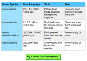Fossils & Extinction - Evidence for Evolution: Fossils (GCSE Biology ...