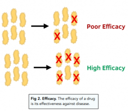 Antibiotics - Developing Drugs: Discovery and Development (GCSE Biology ...