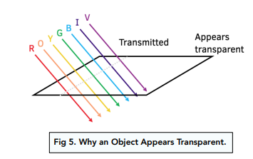 Appearance of Objects (GCSE Physics) - Study Mind