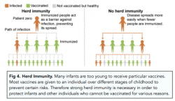 The Immune System - Vaccination (GCSE Biology) - Study Mind