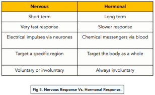 Homeostasis - An Introduction (GCSE Biology) - Study Mind