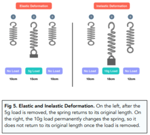 Forces and Elasticity (GCSE Physics) - Study Mind