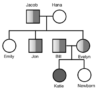 Inheritance - Genetic Diagrams (GCSE Biology) - Study Mind
