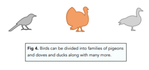 Classification - (GCSE Biology) - Study Mind
