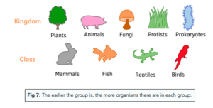 Classification - (GCSE Biology) - Study Mind